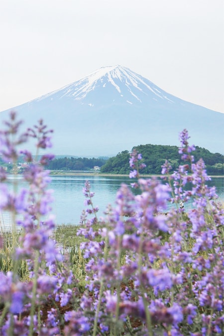 Dribs & Drabs – 點點滴滴